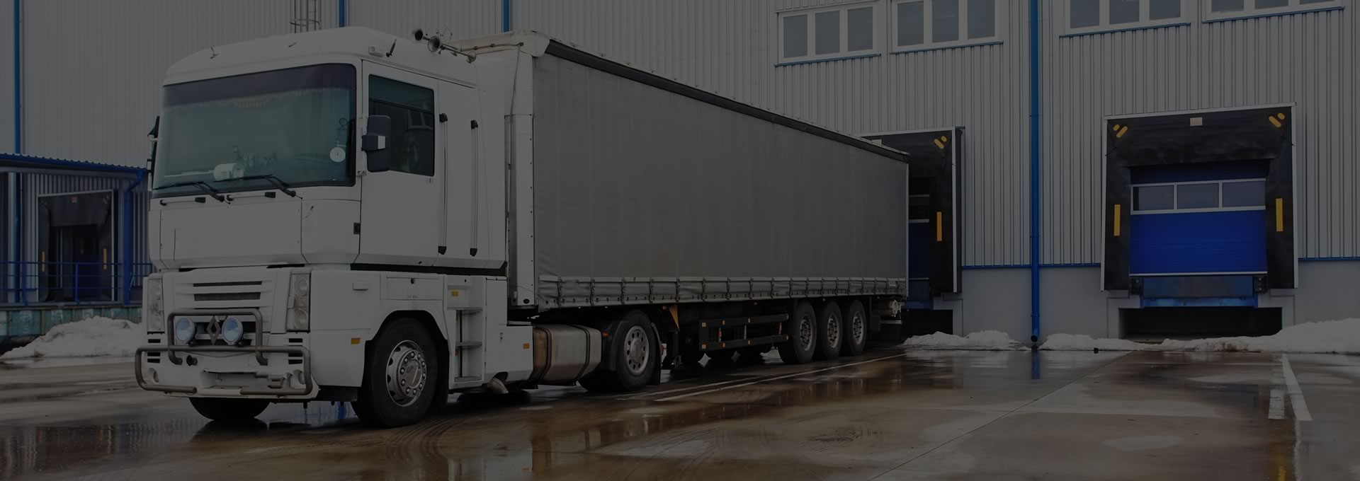 Transportes Quality